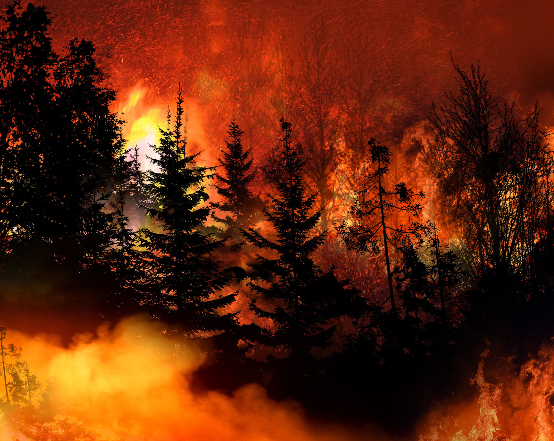 National Wildfire Awareness Month - CTEH